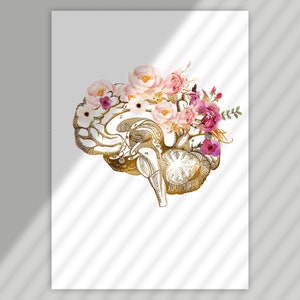 Anatomical Brain Art, Anatomy Art, Human Brain Print Anatomical Poster ...