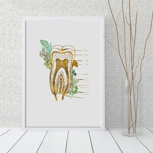 Greenery Tooth Surgeon Dental Clinic Decor, Dentist Office, Dentistry ...