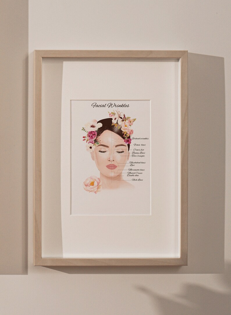 Facial Wrinkles Chart Print Esthetician Decor Skin Cllinic - Etsy