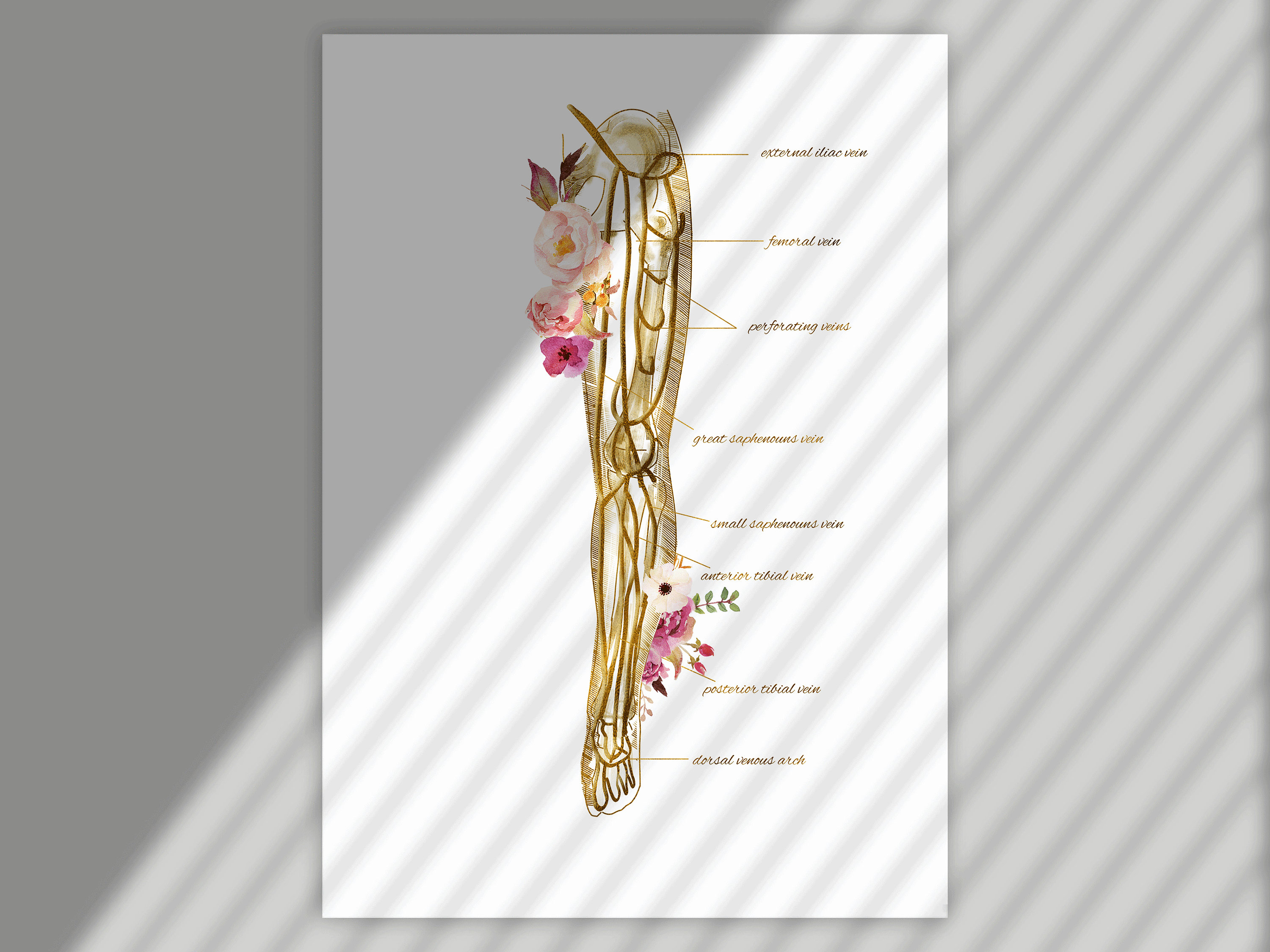 Leg Veins Art Print, Floral Venous Circulation Anatomy, Vascular ...