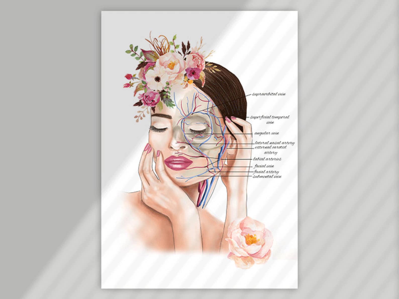 Facial Arteries and Veins Art Aesthetics Clinic Decor - Etsy