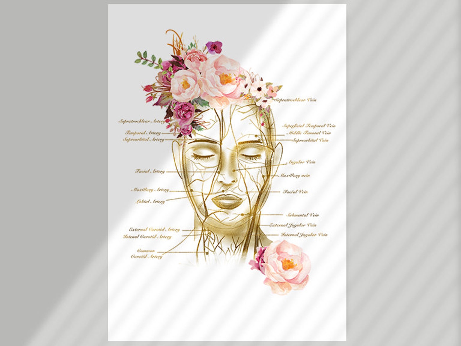 Cosmetic Injector Art Cosmetic Clinic Decor Facial Veins | Etsy