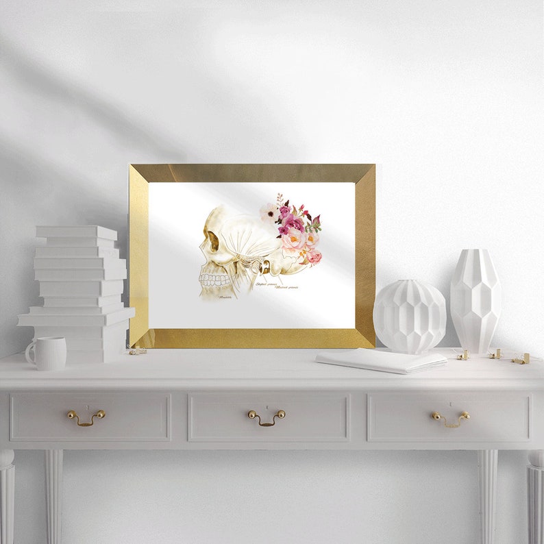 Temporomandibular Joint, TMJ Anatomy Art, Dental Art, Prosthodontist ...