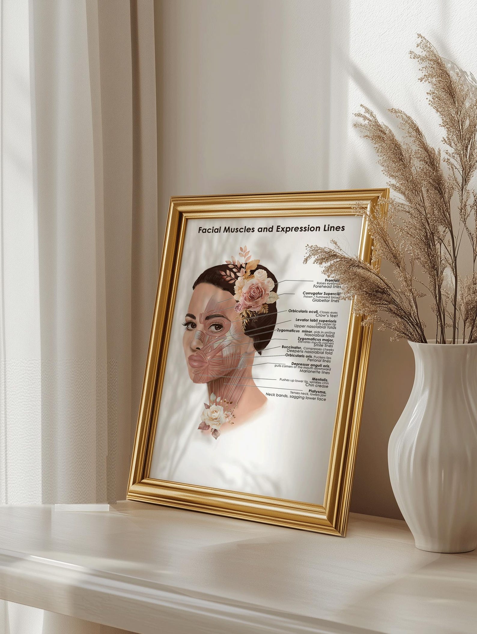 Facial Anatomy Art Print | Facial Muscles & Expression Lines Poster ...