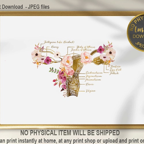 OBGYN Office Decor Breast Anatomy Art Mammary Gland Print - Etsy