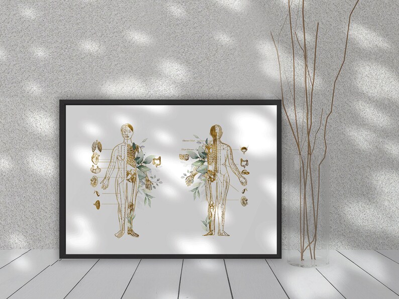 Acupuncture Meridians Wall Art | Traditional Chinese Medicine Poster ...