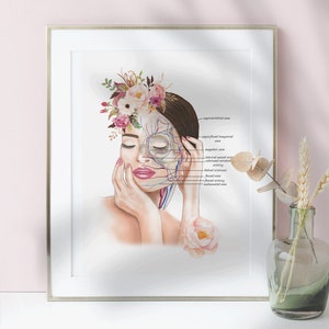 Facial Arteries and Veins Art, Aesthetics Clinic Decor, Esthetician ...