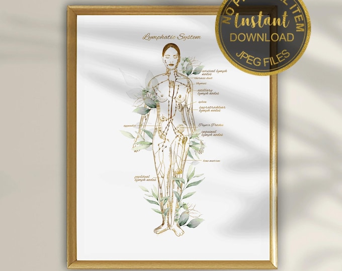 The Lymphatic System Framed Medical Educational Informational Poster ...