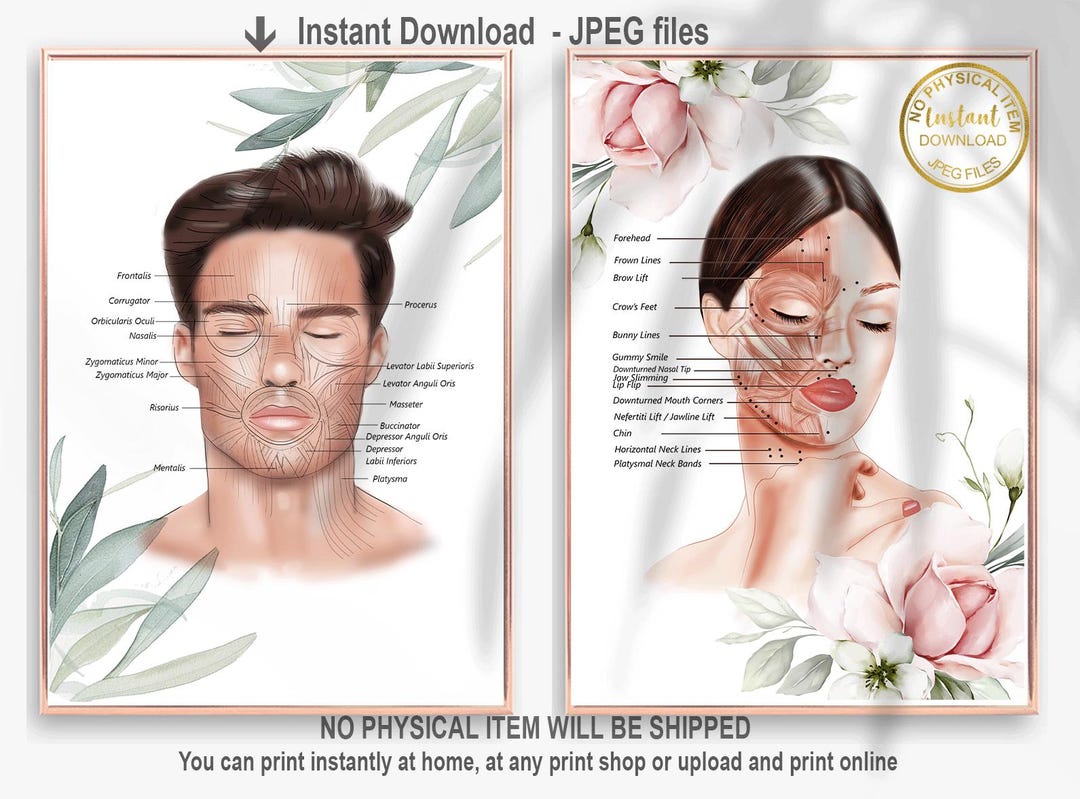 Botox Injection Face Chart - Botanical Face Anatomy Poster Set ...