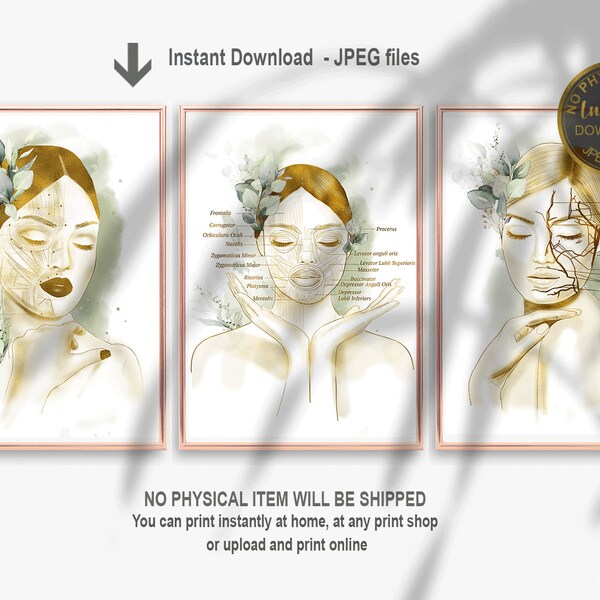 Facial Muscle Poster - Etsy