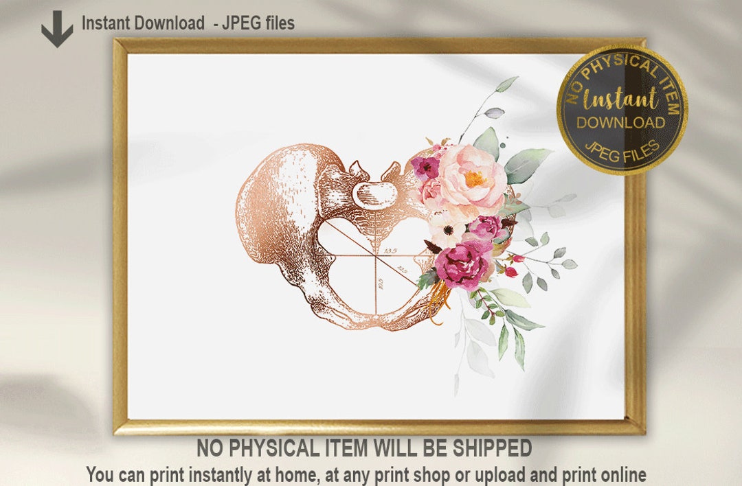 Female Pelvis Anatomy Art, Pelvimetry, Pelvis Obstetrics, Midwife Gift ...