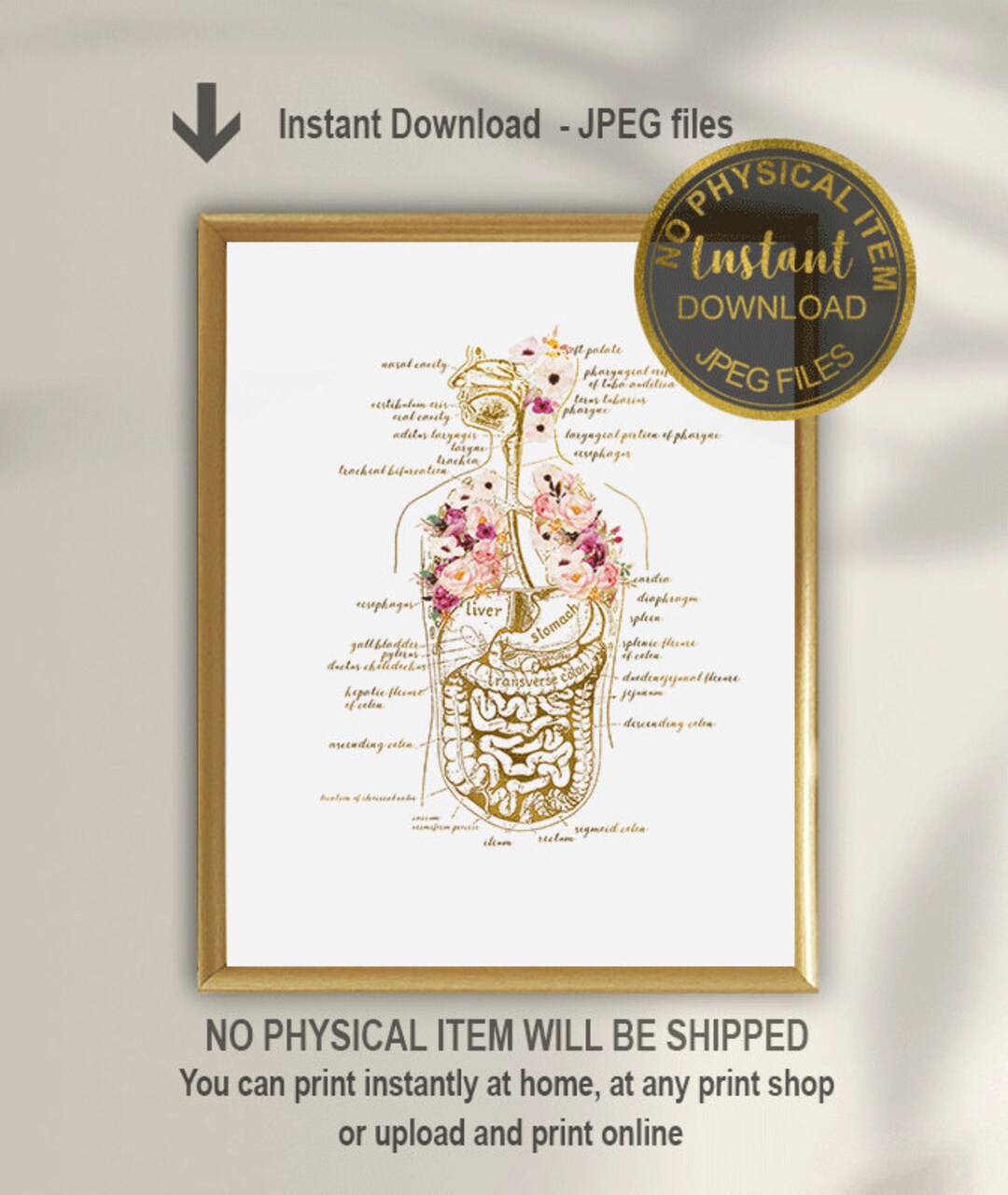 Human Body Anatomy Art, Human Organs Poster, Medical Chart, Doctor ...