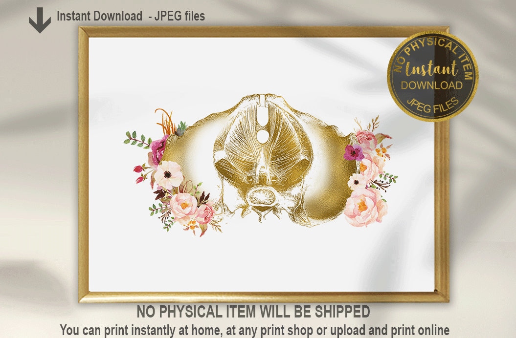 Pelvic Floor Anatomy Art Print, Female Pelvic Anatomy Poster, Midwife ...