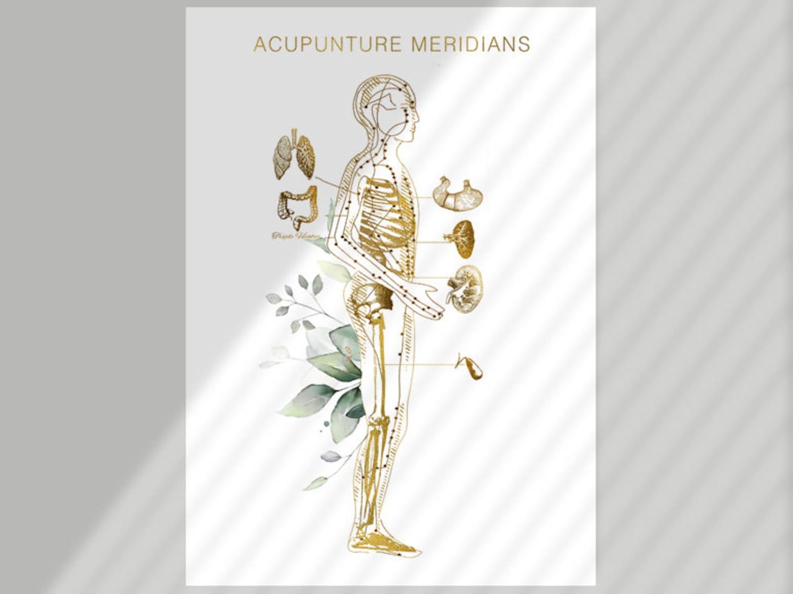 Acupuncturist Office Decor, Acupuncture Meridians Art, Acupuncturist ...