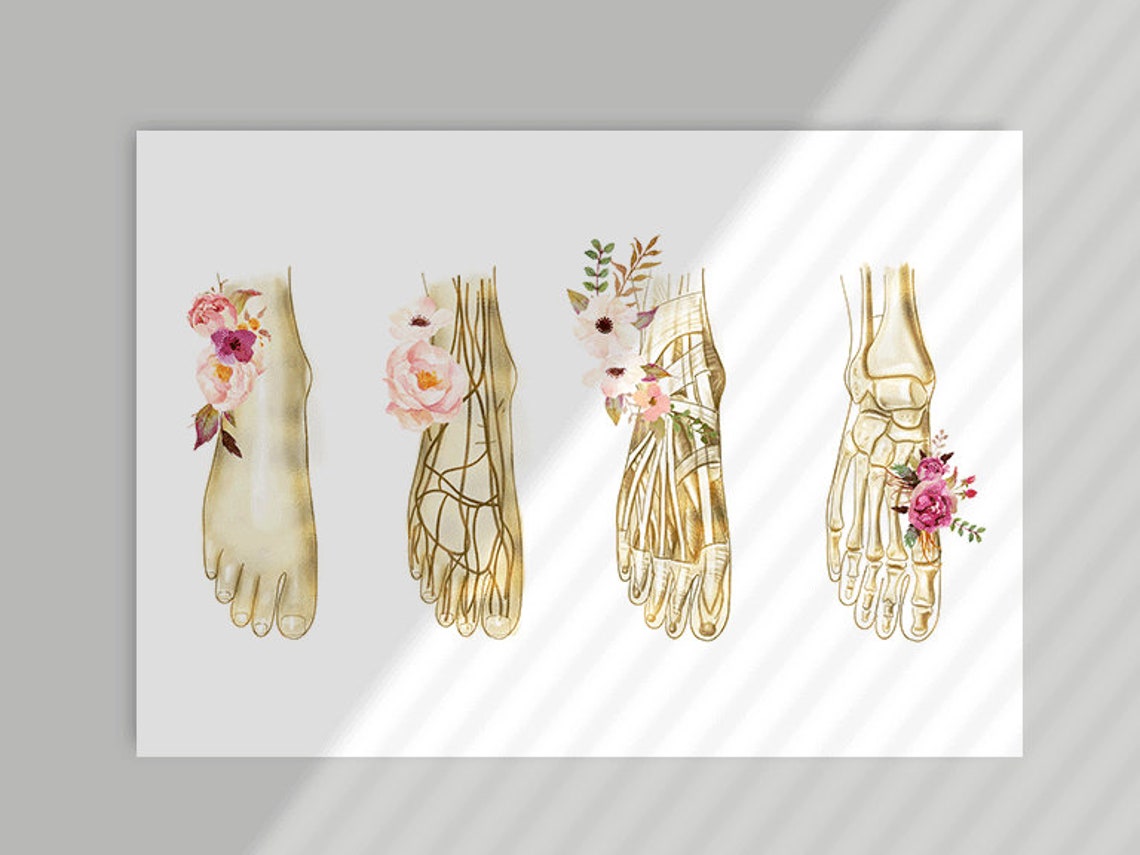 Foot Anatomy Art Print, Podiatry Wall Art, Floral Foot Anatomy ...