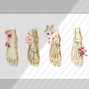Foot Anatomy, Podiatrist Decor, Podsiatrist Gift, Podology Art, Massage ...