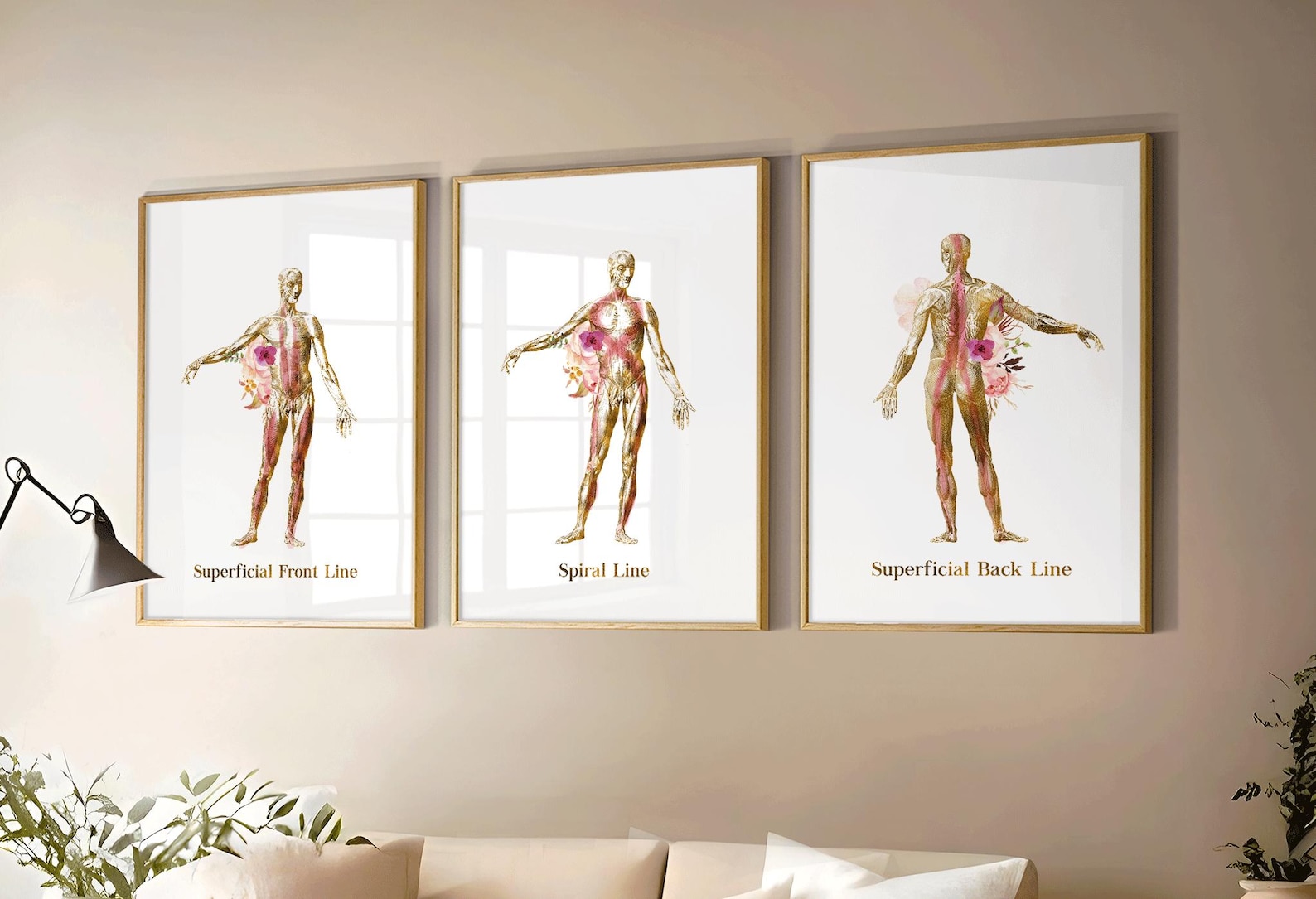 Myofascial Lines Poster Set | Superficial Front Back & Spiral Line ...