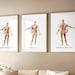 Myofascial Lines Poster Set | Superficial Front Back & Spiral Line ...
