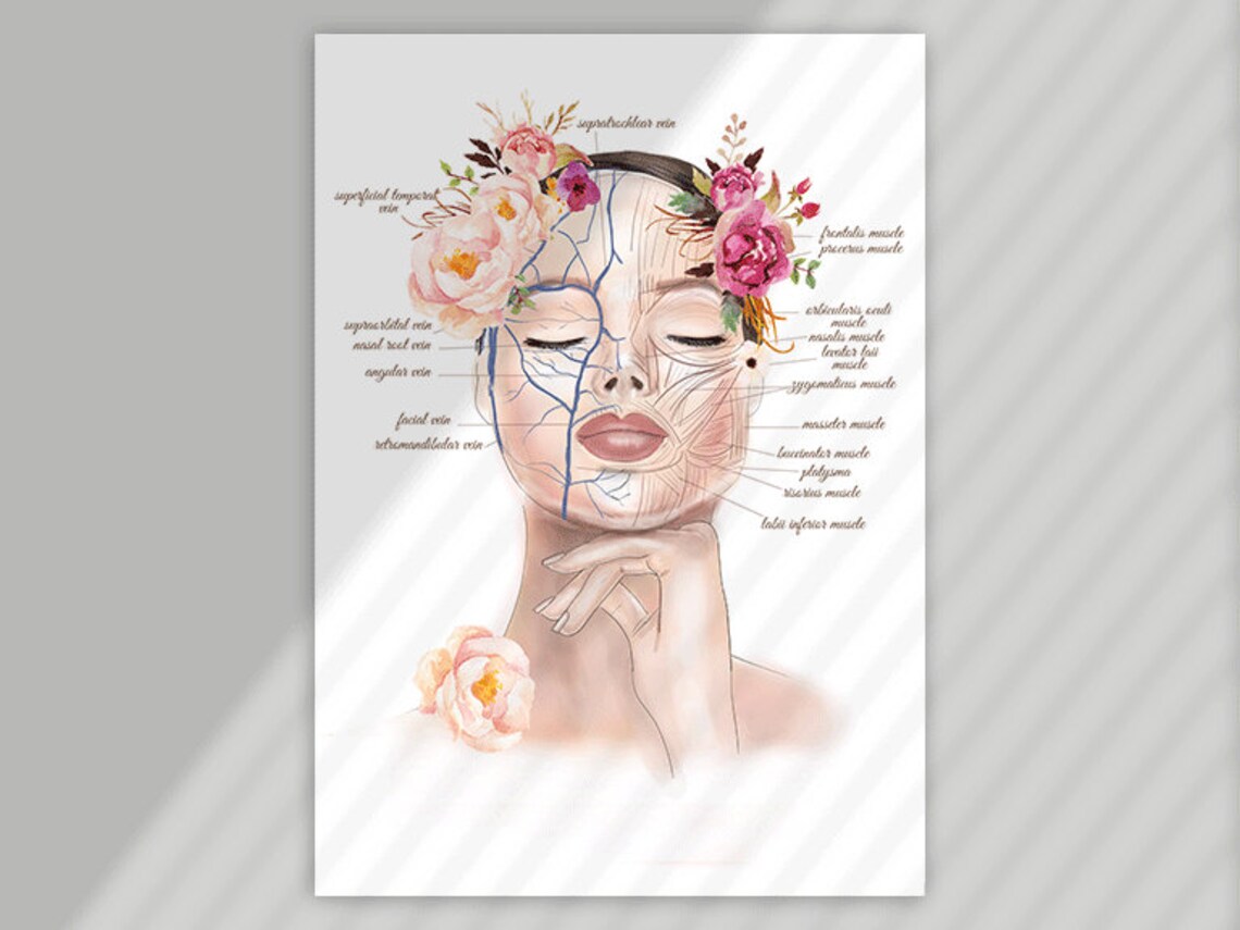 Face Anatomy Poster Facial Muscles and Veinsesthetician Art - Etsy