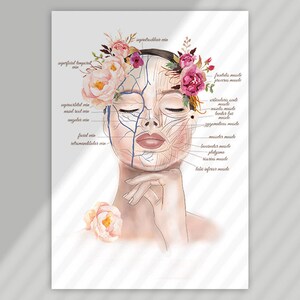 Face Anatomy Poster Facial Muscles and Veinsesthetician Art - Etsy