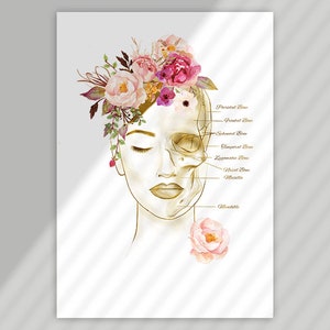 Facial Bones Art Print Printable Skull Anatomy Art Plastic - Etsy