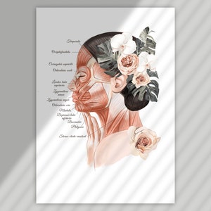 Facial Muscles Art, Esthetician Decor, Esthetician Gift, Esthetician ...