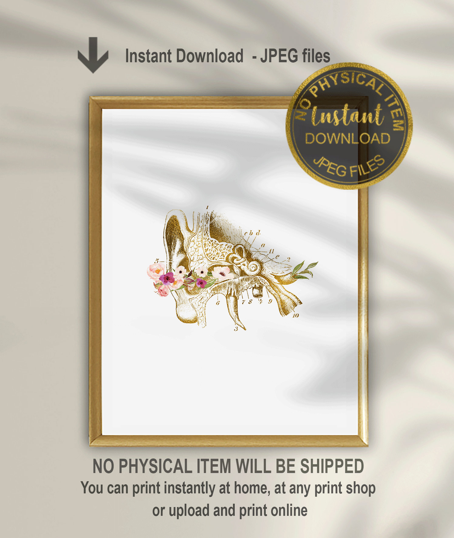 Printable Human Ear Anatomy, Au Diologist Office Decor, Audiology ...