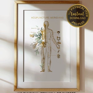 Acupuncture Meridians, Acupuncturist Gift, Acupuncturist Office Wall ...