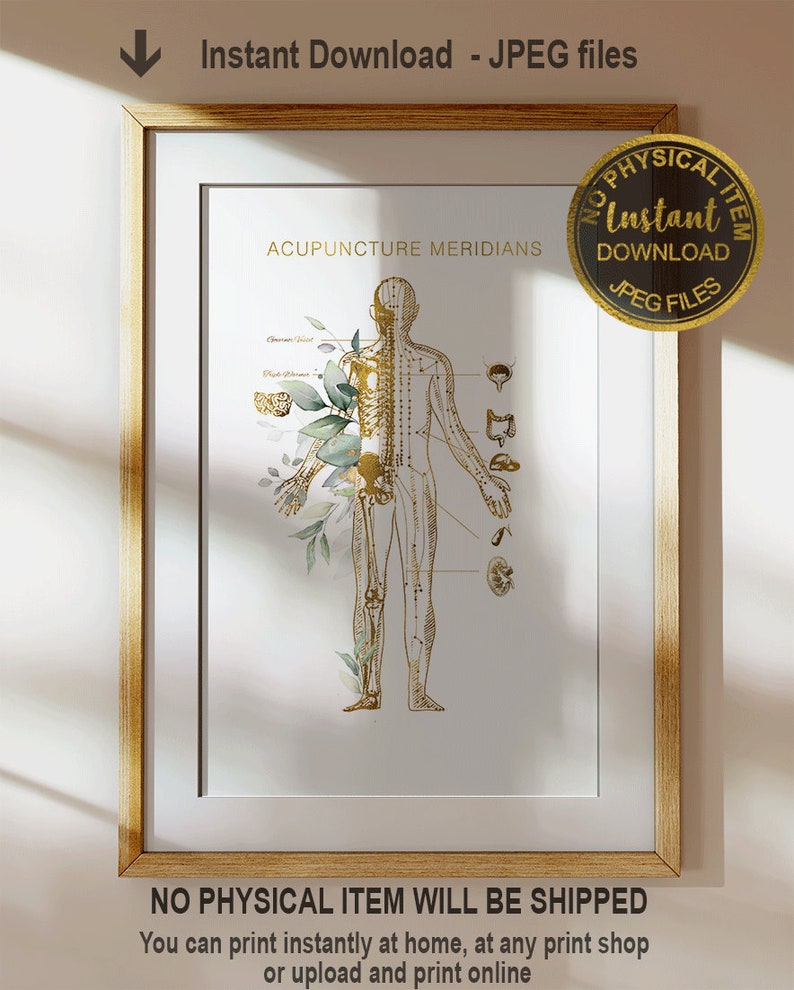 Acupuncture Meridians Acupuncturist Gift Acupuncturist - Etsy