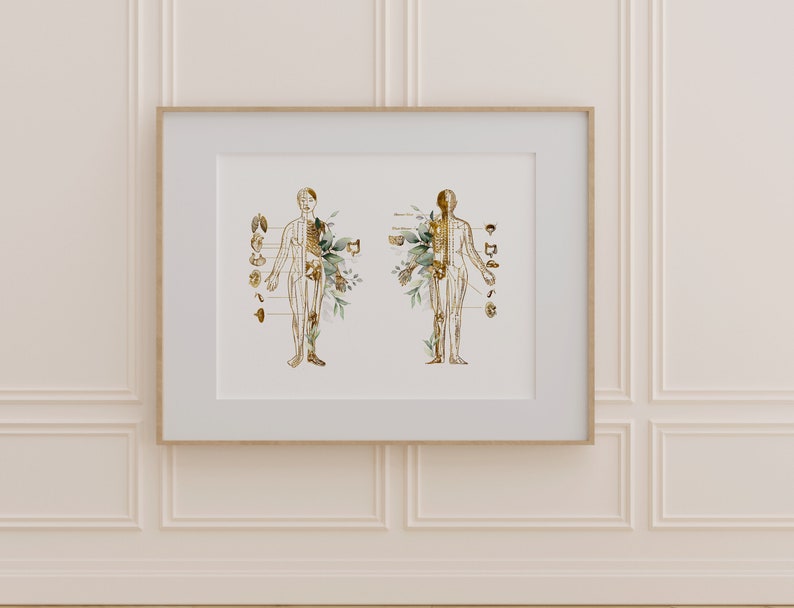 Acupuncture Meridians Wall Art | Traditional Chinese Medicine Poster ...