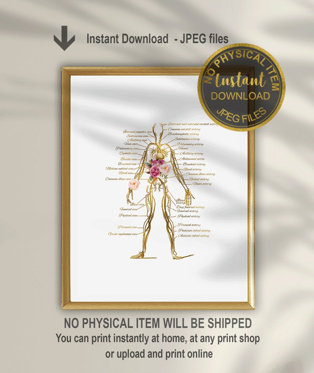 Circulatory System, Anatomy Art, Medical Art, Blood Vessels ...