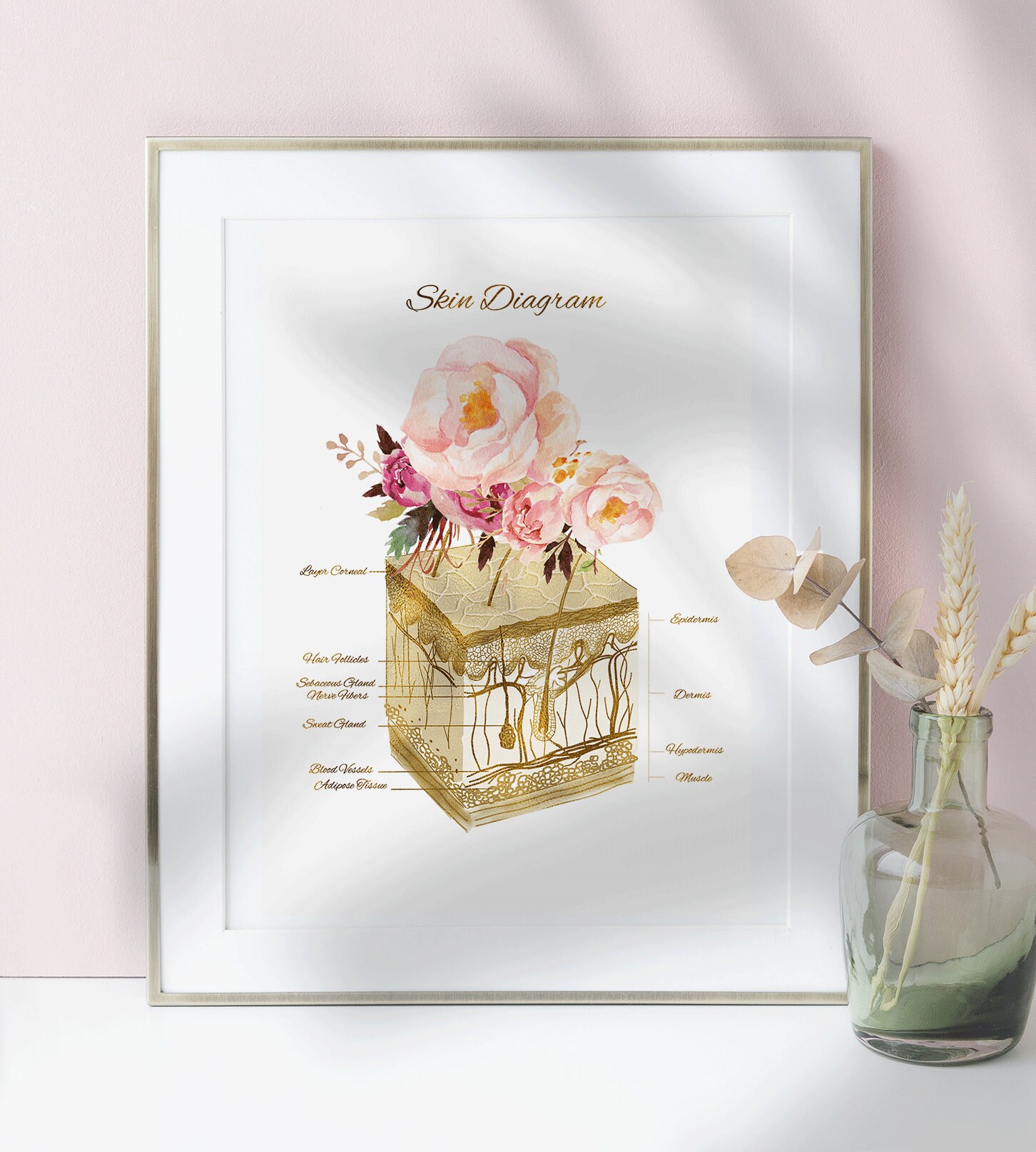 Skin Anatomy Art Dermatologist Gift Dermatology Decor - Etsy