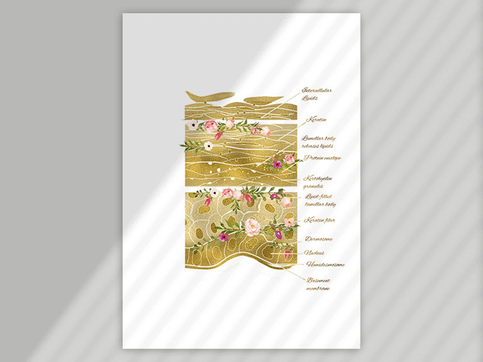 Integumentary System Print, Skin Layers Anatomy Art, Dermatology Office ...