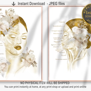 Woman Facial Muscles Posters, Human Anatomy, Printable Art, Beauty ...