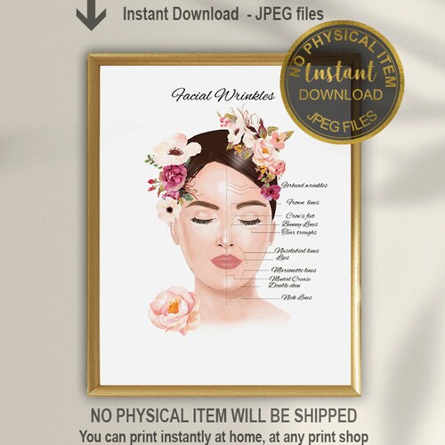 Facial Wrinkles Chart Print Esthetician Decor Skin Cllinic - Etsy