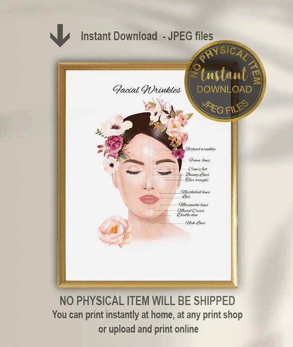 Facial Wrinkles Chart Print Esthetician Decor Skin Cllinic - Etsy