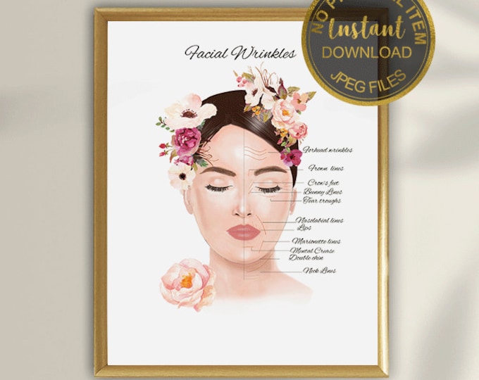 Facial Wrinkles Chart Print Esthetician Decor Skin Cllinic - Etsy