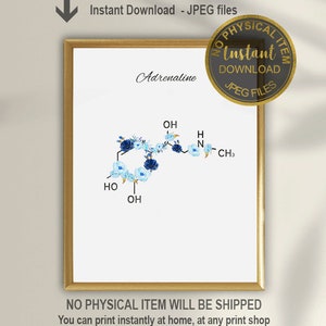 Adrenaline Molecule, Chemistry Gift, Adrenaline Poster, Neurochemistry ...