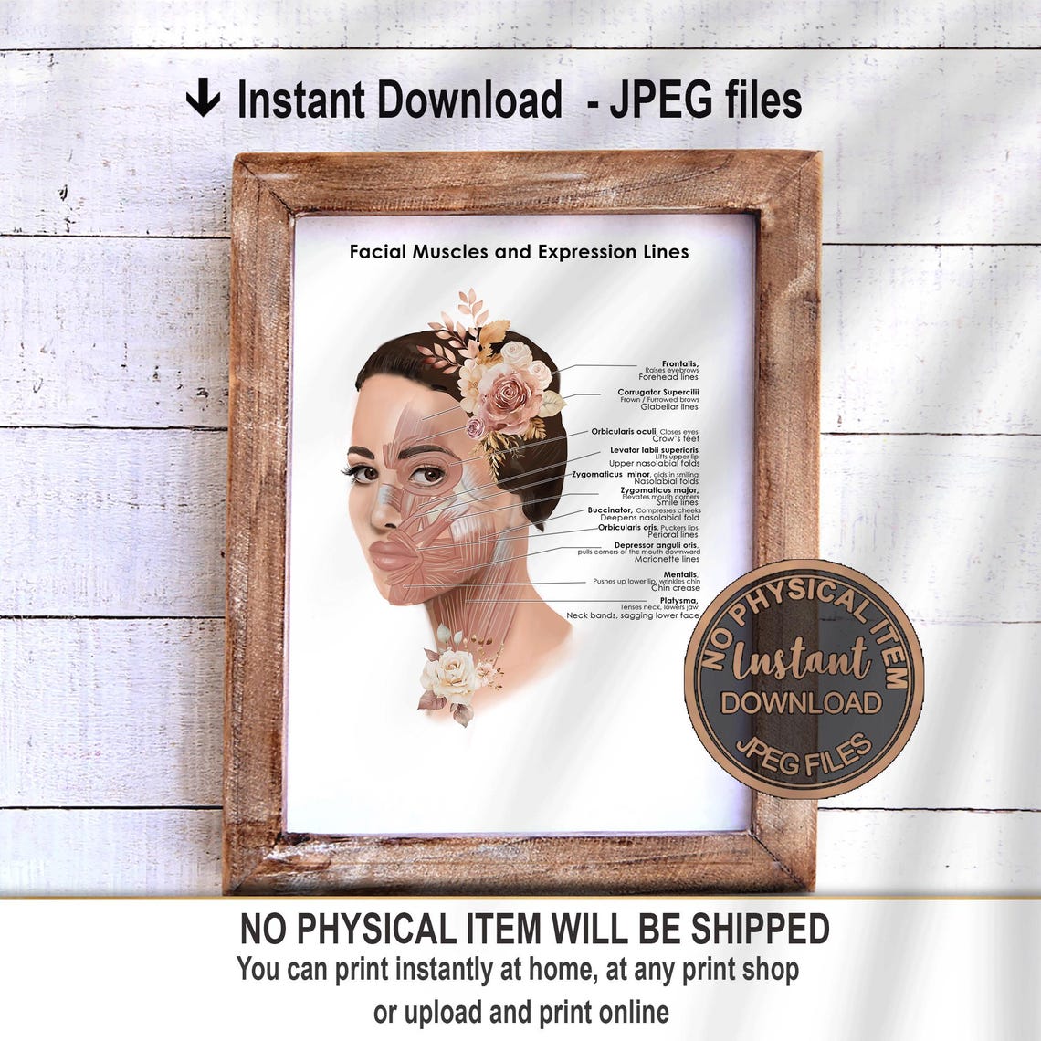 Facial Anatomy Art Print | Facial Muscles & Expression Lines Poster ...
