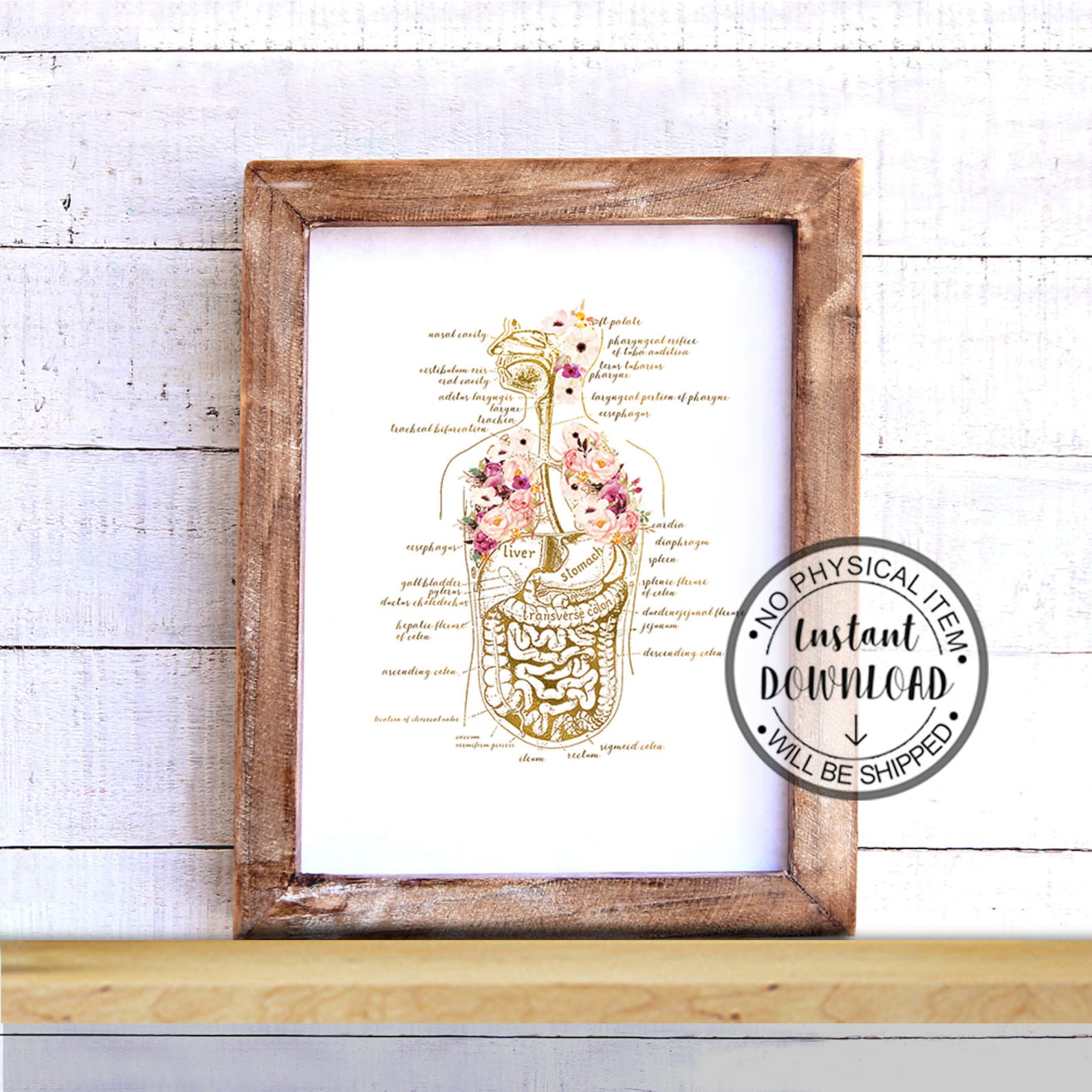 Human Body Anatomy Art Human Organs Poster Medical Chart - Etsy