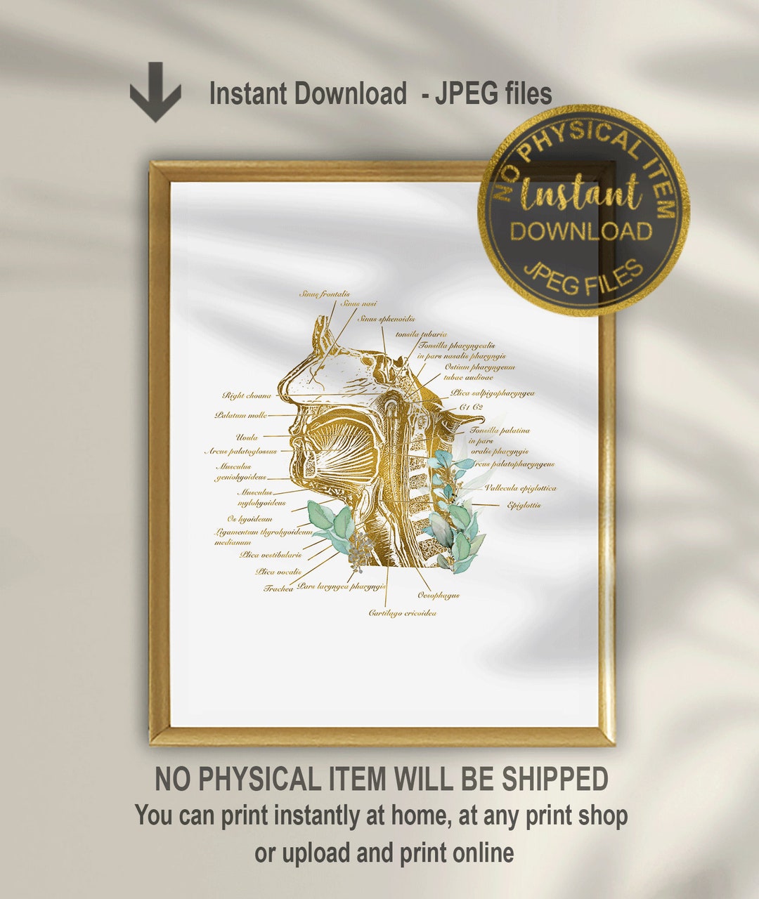 SLP Poster, Oral Cavity, Speech Therapist Pathologist Art, Speech ...