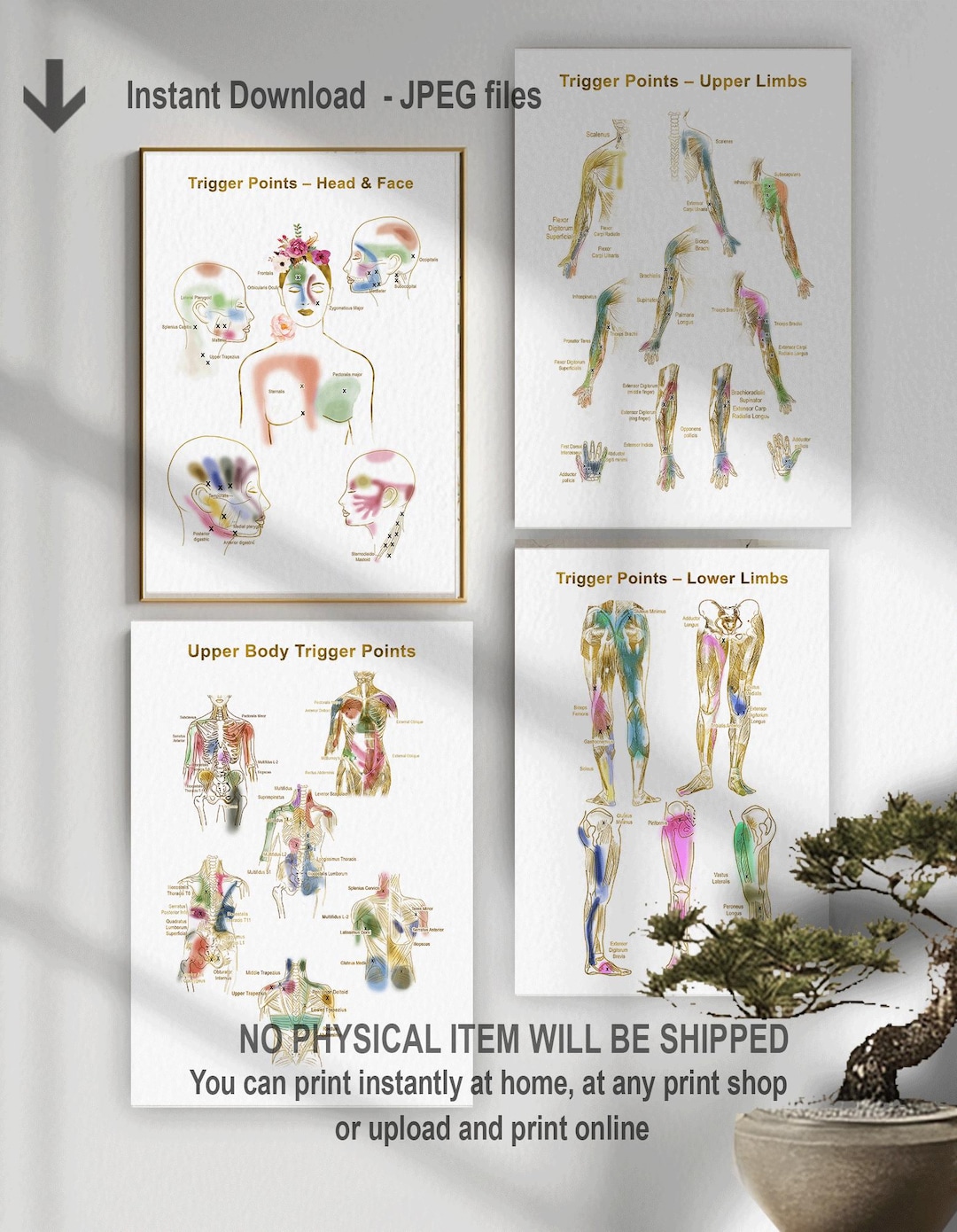 Trigger Points Charts Bundle – Digital Download Anatomy Poster Set for ...