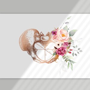 Female Pelvis Anatomy Art, Pelvimetry, Pelvis Obstetrics, Midwife Gift ...