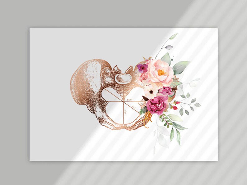 Female Pelvis Anatomy Art Pelvimetry Pelvis Obstetrics - Etsy