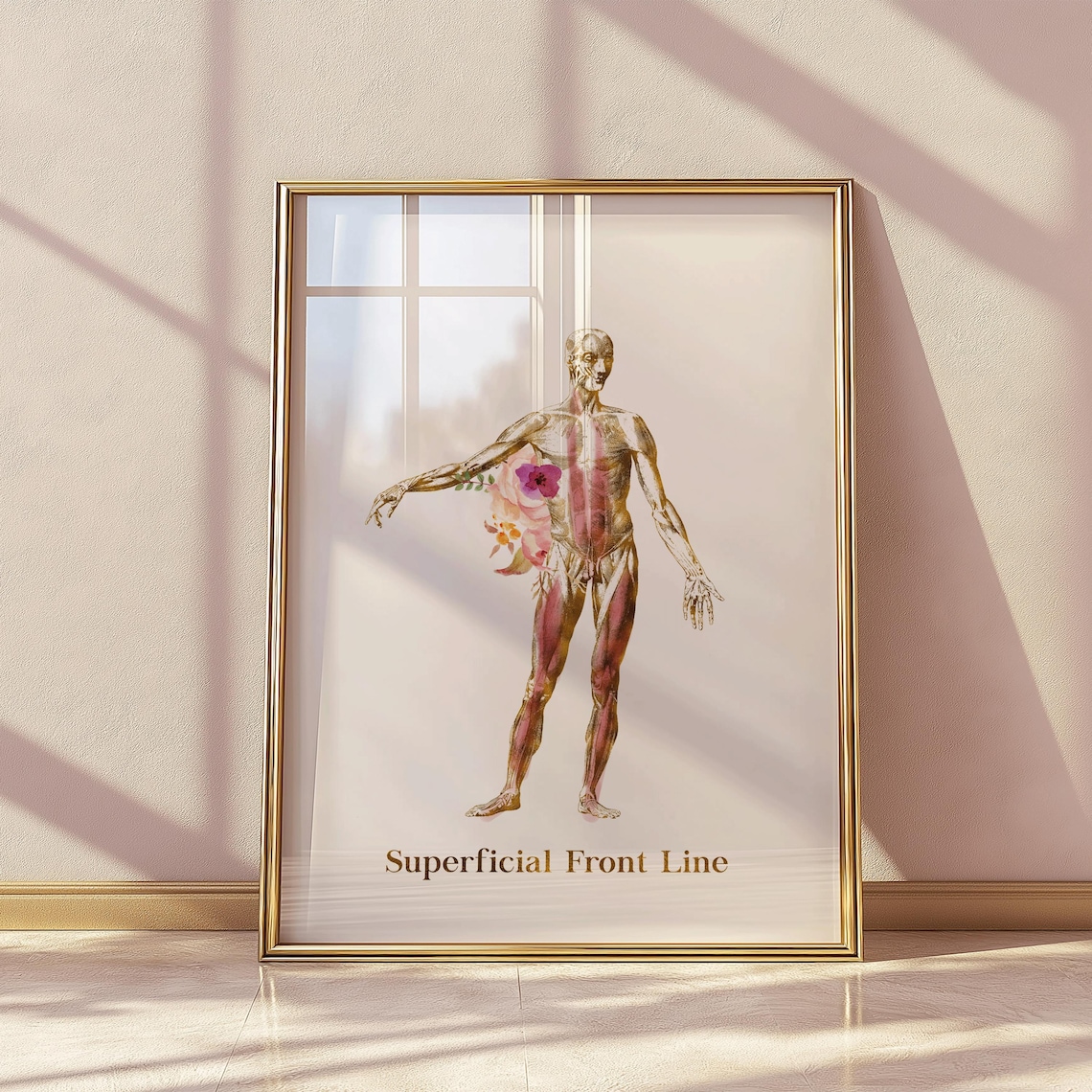 Myofascial Lines Poster Set | Superficial Front Back & Spiral Line ...