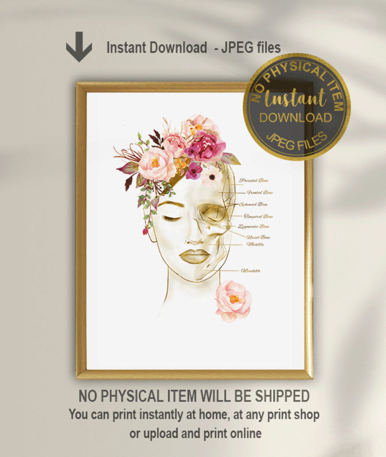 Facial Bones Art Print Printable Skull Anatomy Art Plastic - Etsy