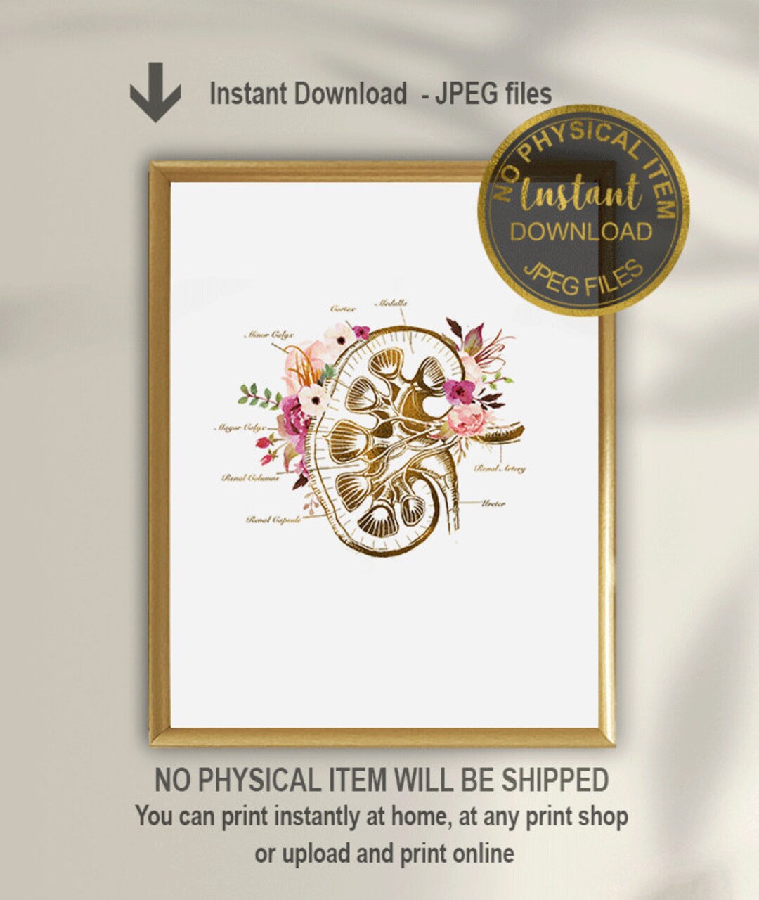 Kidney Print Urologist Office Decor Kidney Anatomy Art - Etsy