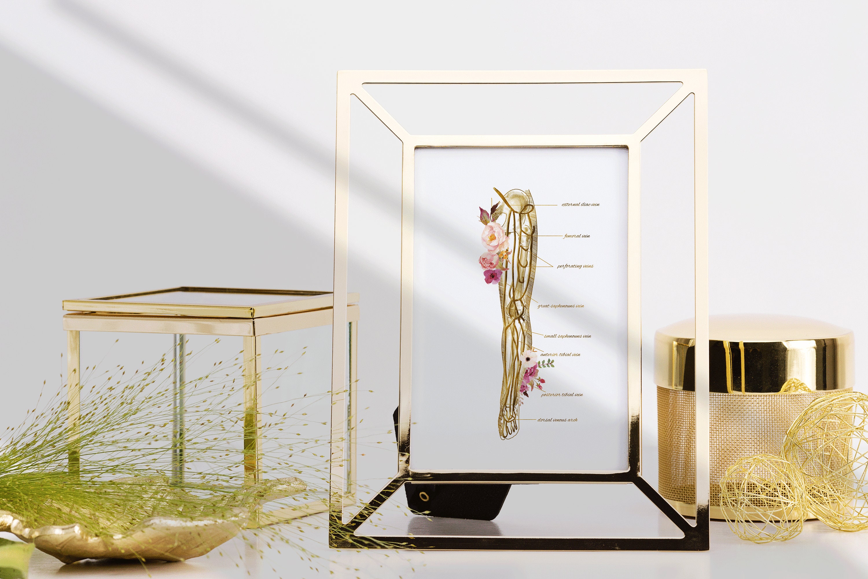 Leg Veins Art Print, Floral Venous Circulation Anatomy, Vascular ...