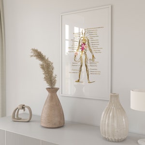 Circulatory System, Anatomy Art, Medical Art, Blood Vessels ...