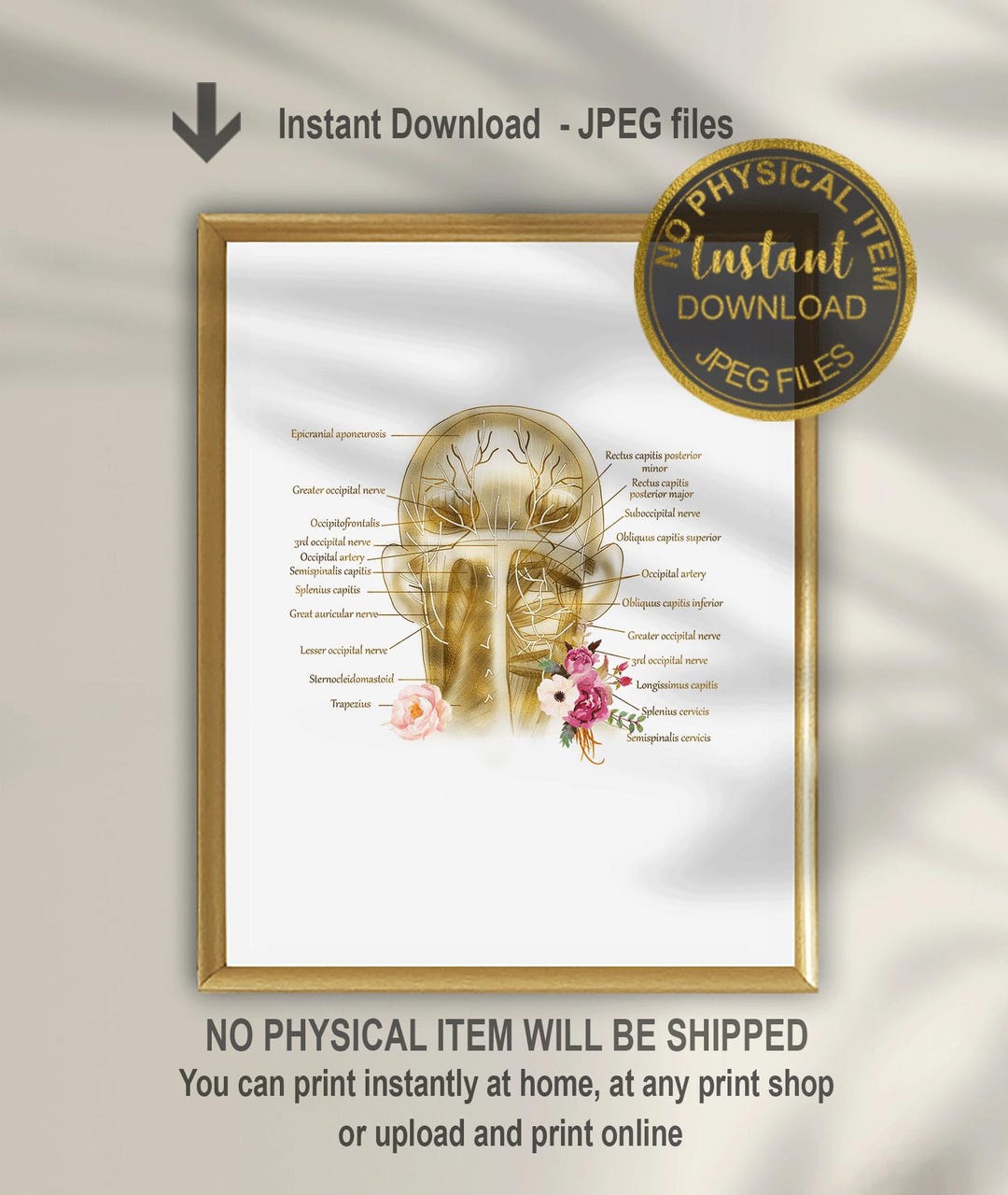 Neck & Head Anatomy Poster, Occipital Nerves Chart, Scalp Nerves ...